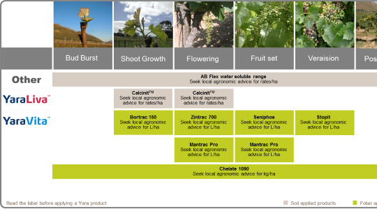 Table Grape Fertilizer Program - Water Soluble | Yara South Africa