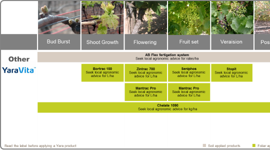 Table Grape Fertilizer Program - Liquid | Yara South Africa